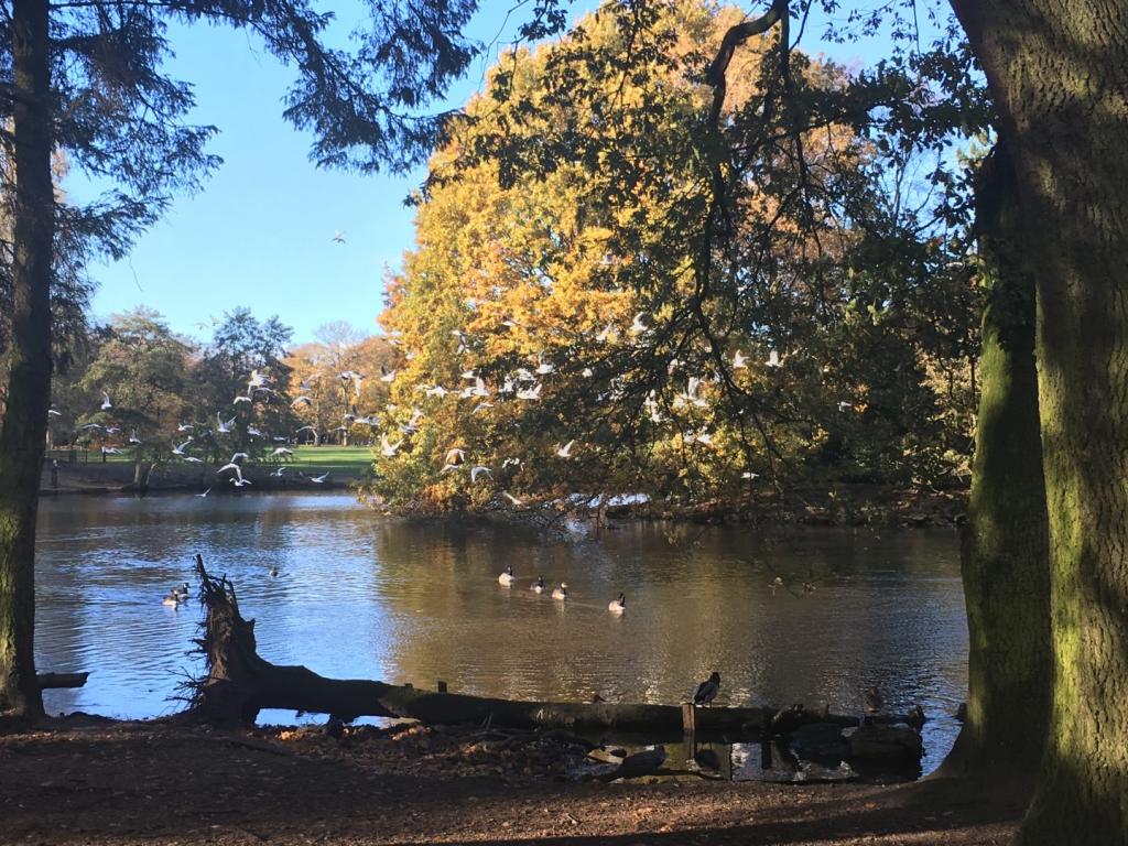 Interhouse photography competition 2018 - Merchant Taylors' School